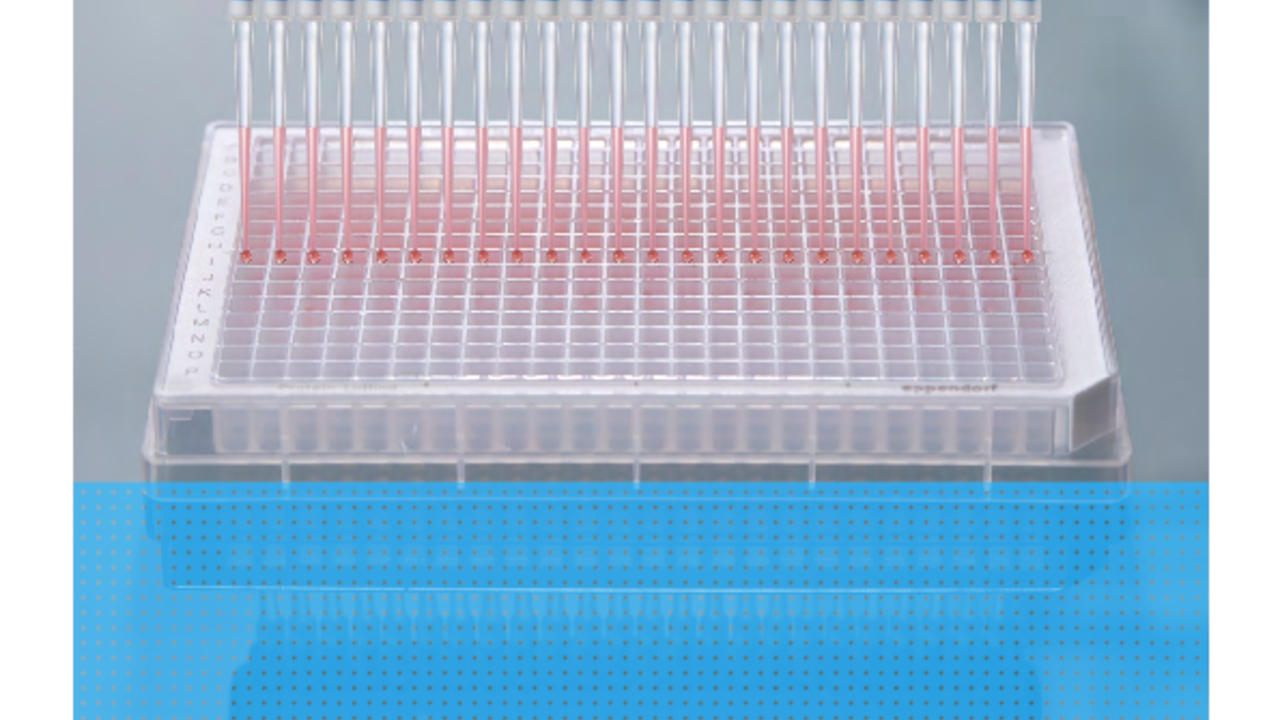 01.07.2019 BioNews Nr. 51: Neues Pipettiersystem: 384. Ready. Set ...